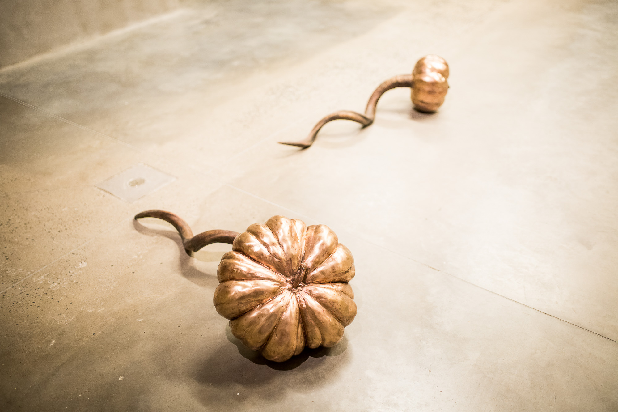 Laco Teren – Putujúce duše, vernisáž — Východoslovenská galéria